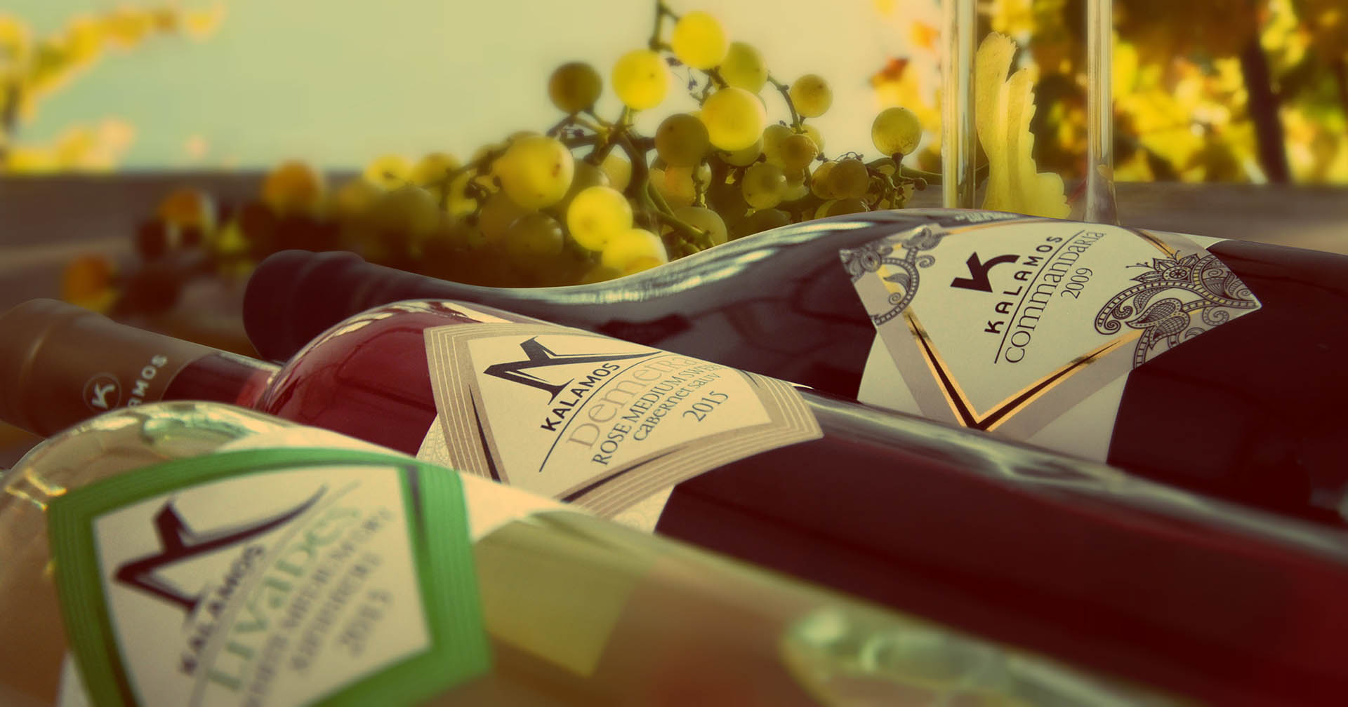 Τα Οινοποιεία μας – Όμιλος Οινοφίλων Κύπρου